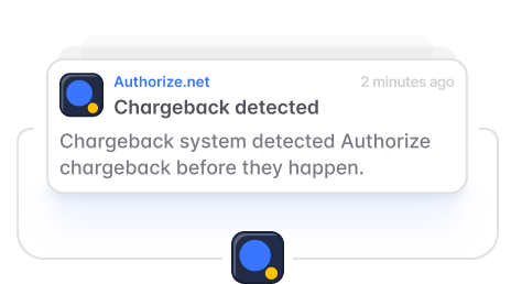 Return Item Chargeback: Explained For Beginners